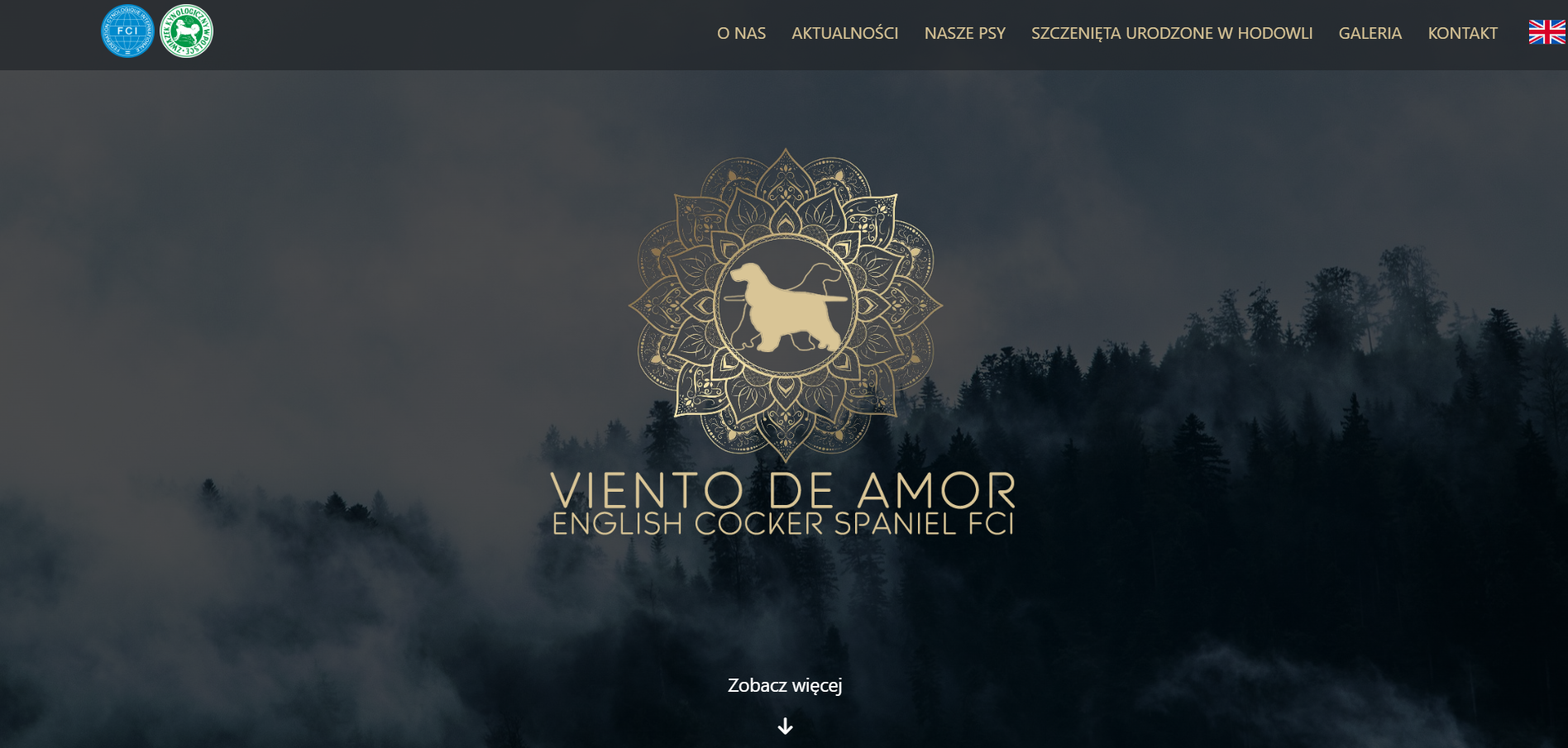 Piotr Kuraś Portfolio